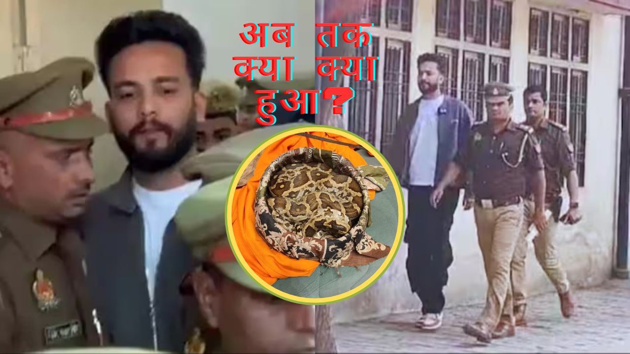 Elvish Yadav Snake Venom Case: 96 घंटो की जेल, एल्विश यादव केस में अब ...