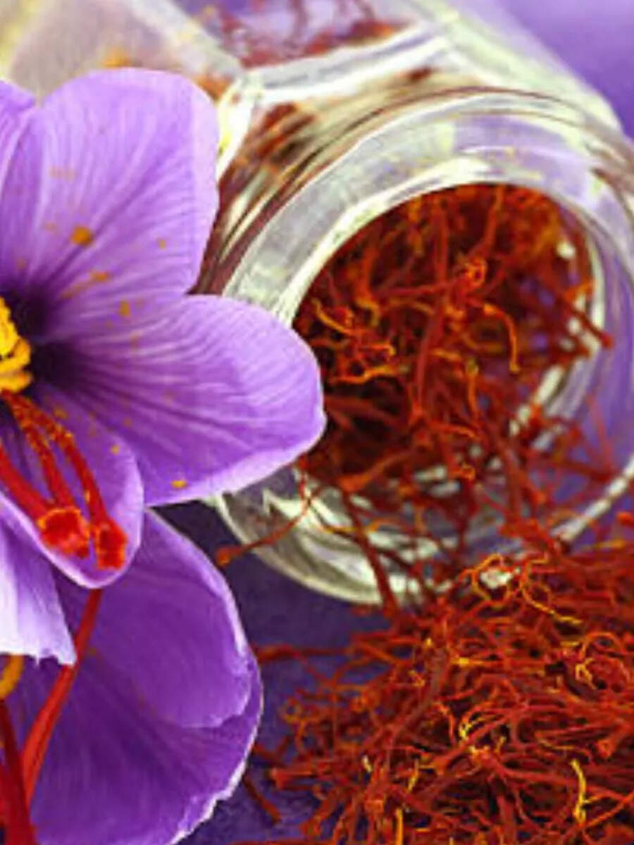 india jammu kashmir produces most of saffron spice | Times Now Navbharat