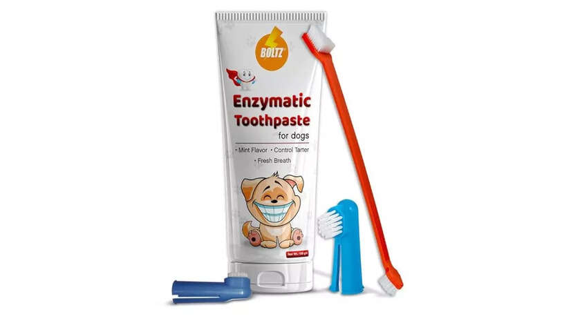 Best toothpaste for dogs to keep their gums and teeth healthy