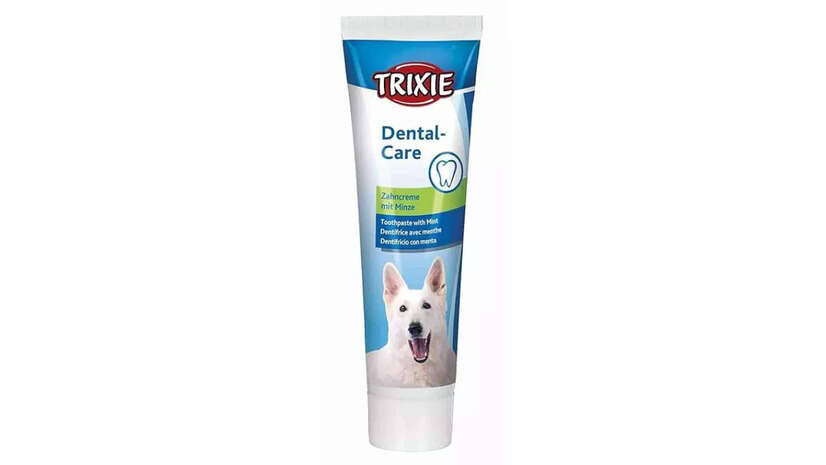 Best toothpaste for dogs to keep their gums and teeth healthy