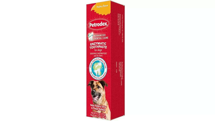 Best toothpaste for dogs to keep their gums and teeth healthy