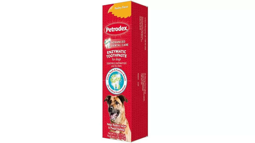 Best toothpaste for dogs to keep their gums and teeth healthy