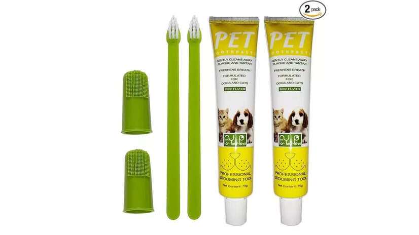 Best toothpaste for dogs to keep their gums and teeth healthy
