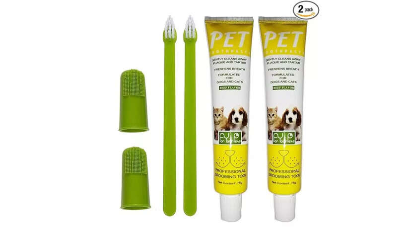 Best toothpaste for dogs to keep their gums and teeth healthy