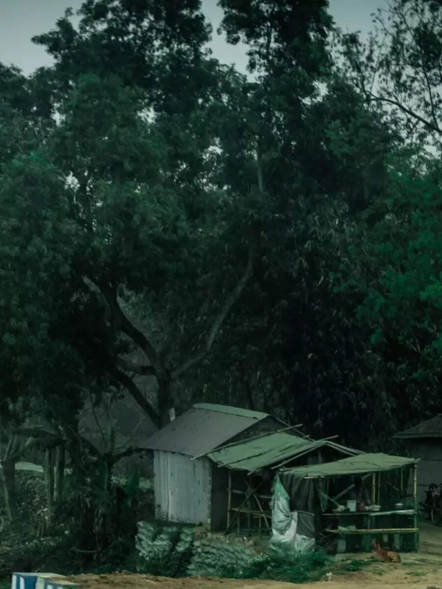 Gahmar Largest Village of Uttar Pradesh | Times Now Navbharat