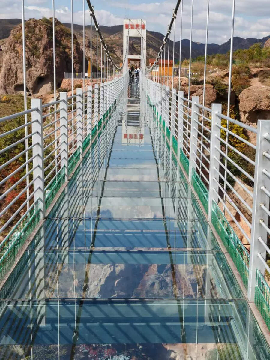 Uttar Pradesh First Glass Bridge Built in Chitrakoot | Times Now Navbharat