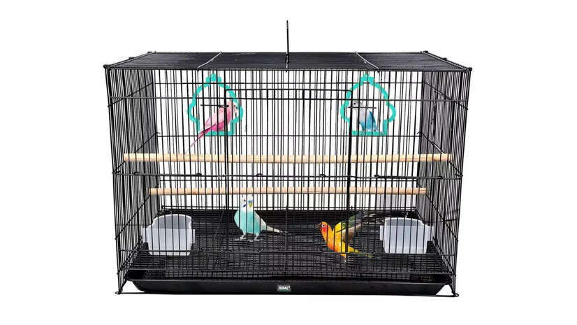 6 Best Bird Cages to Give Your Feathered Friends a Cozy Home Comfort