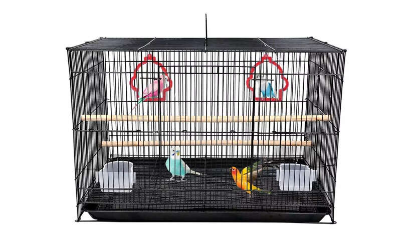 6 Best Bird Cages to Give Your Feathered Friends a Cozy Home Comfort