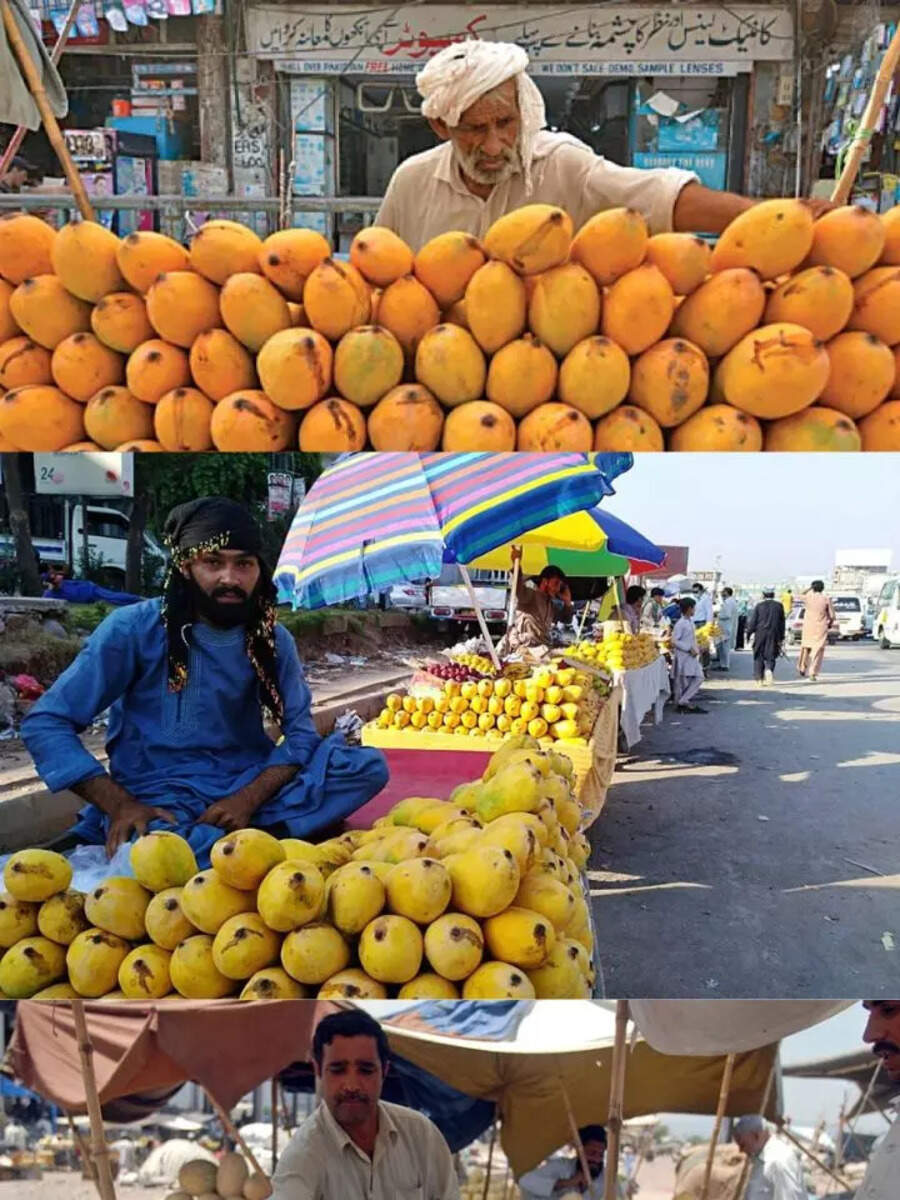 Mango Price Per Kg In Pakistan, Mango Production In Pakistan, Mango ...