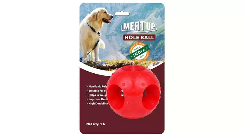 Best Dog Chew Toys for Healthy Teeth and Gums
