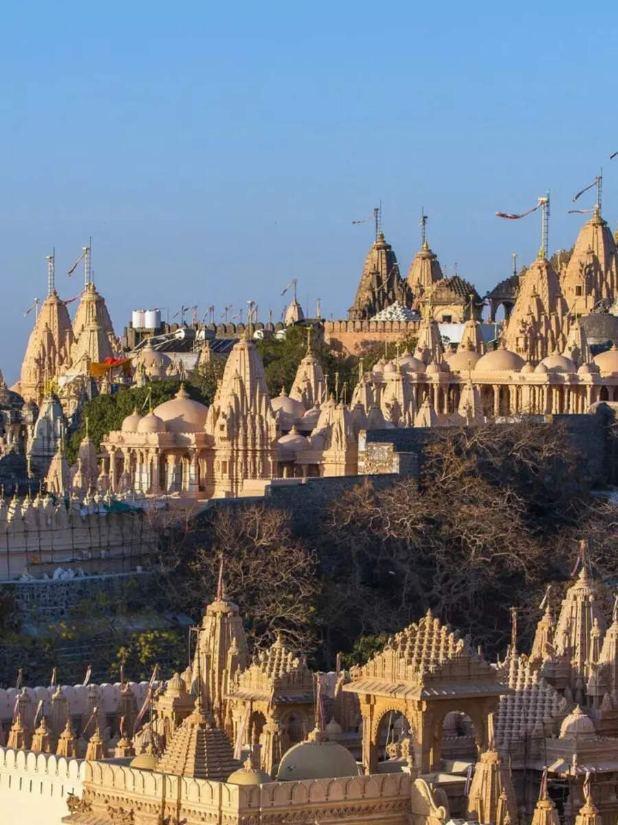 Gohilwad Old Name of Bhavnagar Gujrat Know Story | Times Now Navbharat