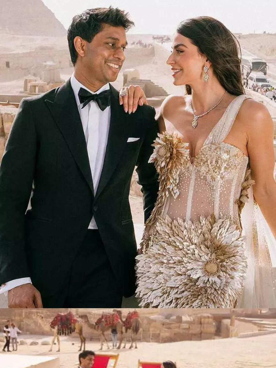 Erika Hammond Wikipedia, Erika Hammond Ankur Jain, Erika Hammond Wwe ...