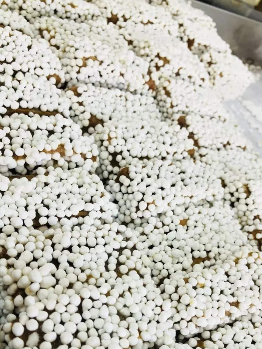 Bal Mithai Health Benefits: Bal Mithai, Uttarakhand Bal Mithai, Almora ...