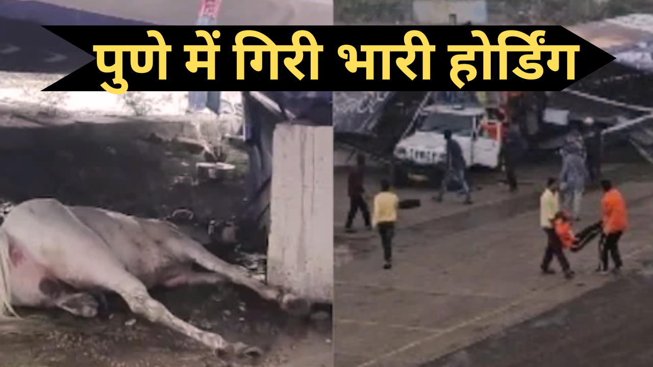Pune Hoarding Collapse : मुंबई जैसे पुणे में भरभरा कर गिरी होर्डिंग, दूल्हे का घोड़ा घायल ...