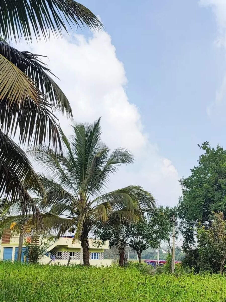 Rohna Village of Sonipat Known as Land of Heroes | Times Now Navbharat