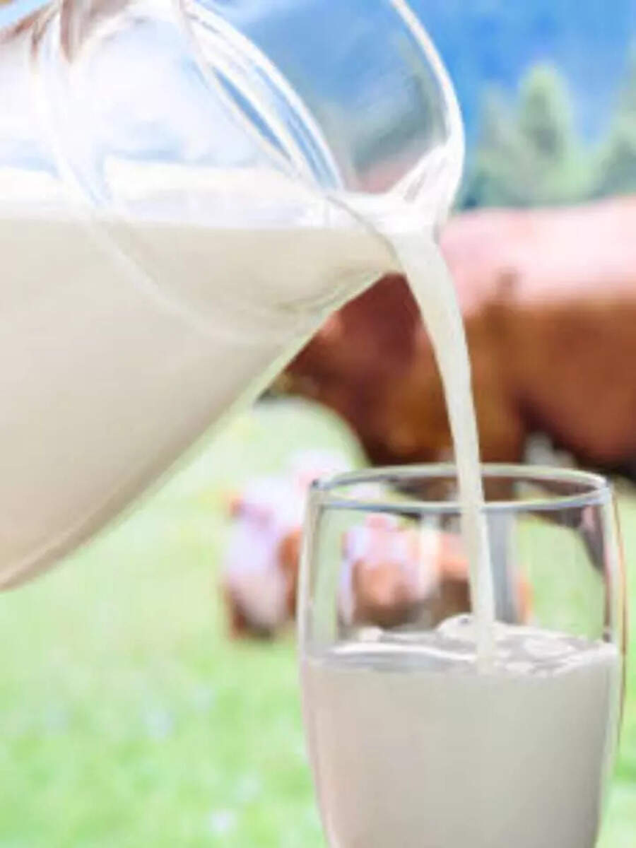 Which Animal Milk Is Most Expensive Know Most Costly Milk In The World ...