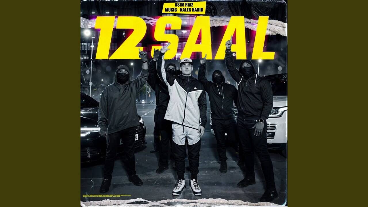 Asim Riaz Song 12 Saal Out Now Hits On Youtube With Epic Rap - Asim ...