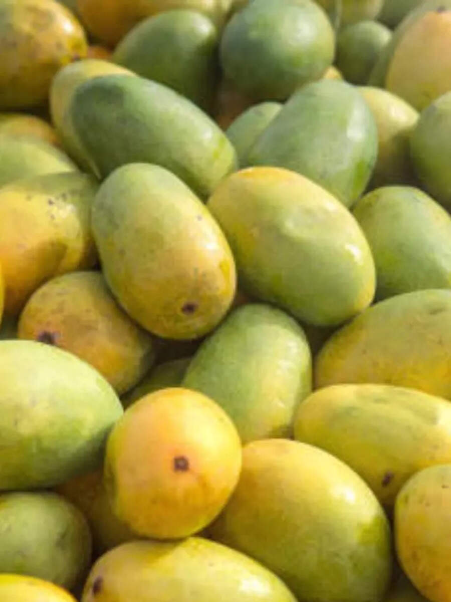 without cutting how to identify mango is ripe or not | Times Now Navbharat