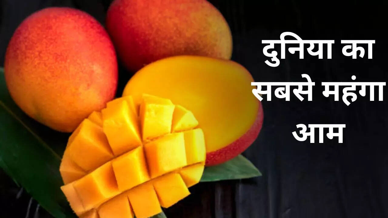 World Most Expensive Mango: दुनिया का सबसे महंगा आम, दाम सुनकर खड़े हो ...