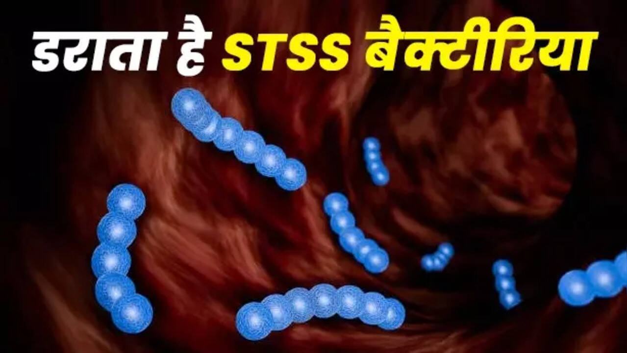 इंसानों के लिए घातक है STSS बैक्टीरिया, 48 घंटे के भीतर भुगतने पड़ सकते हैं गंभीर परिणाम; जानें ...