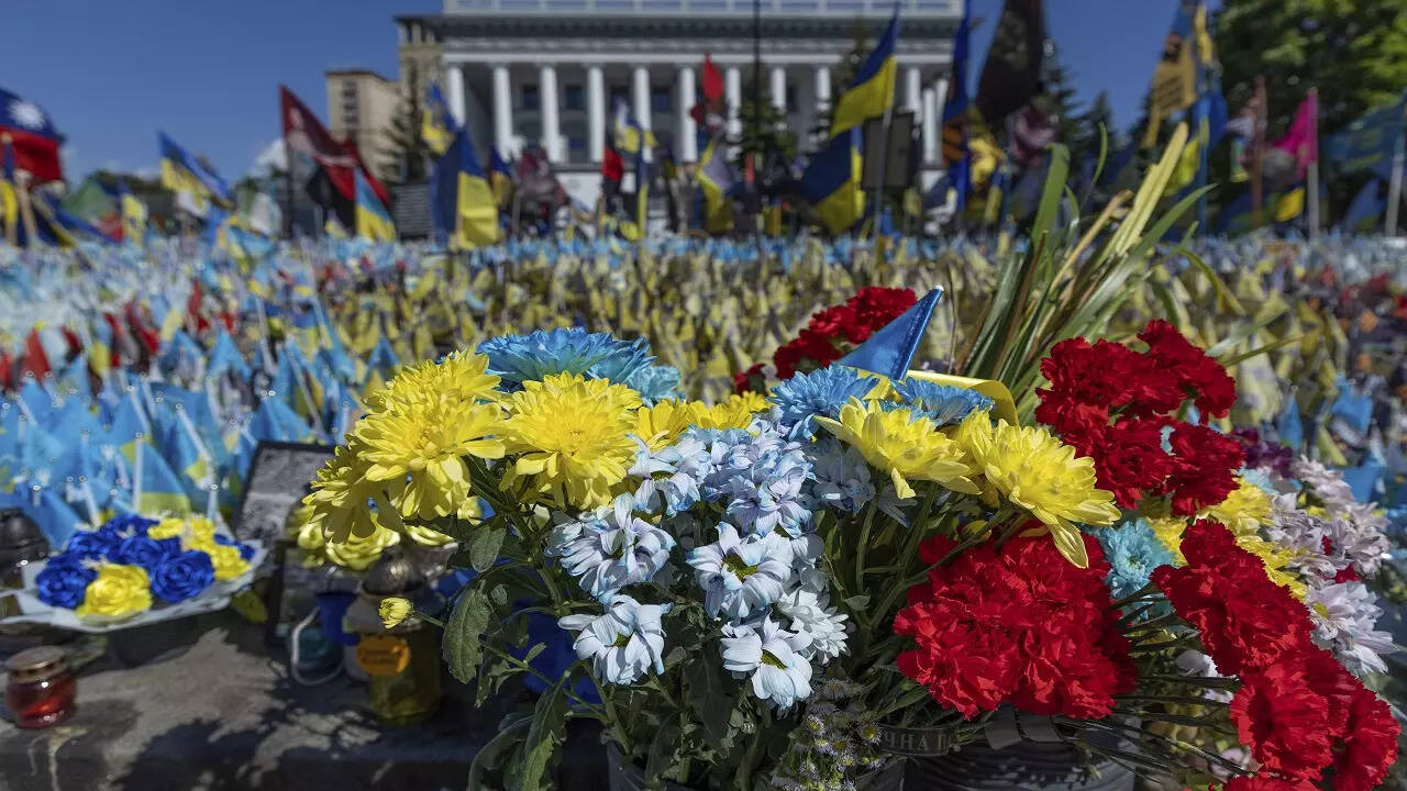 Ukraine's national flower became symbol of solidarity and resistance