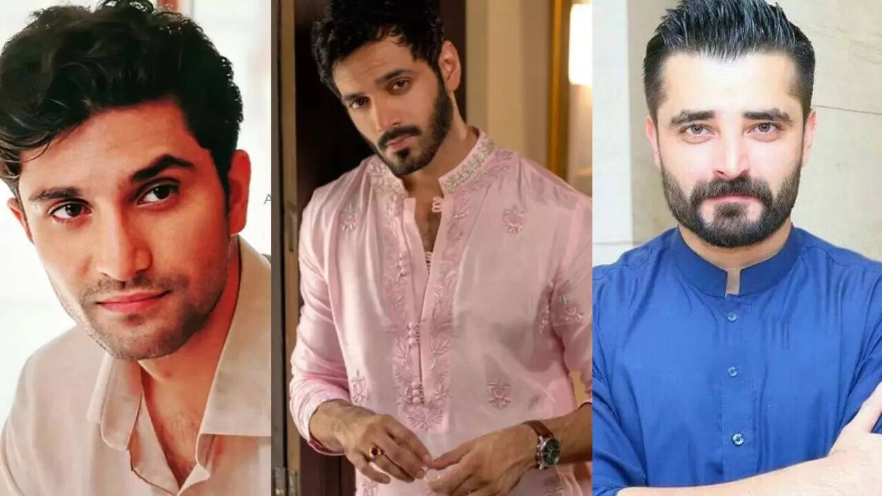 Top 7 Pakistani Actor: इन पाकिस्तानी हीरो के पीछे लट्टू हैं लड़कियां ...