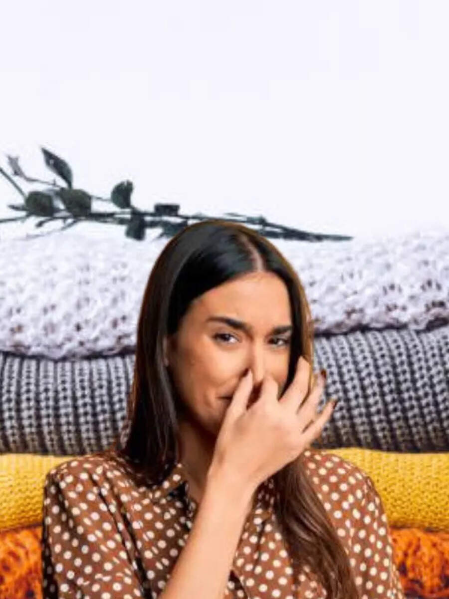 How To Remove Smell From Blanket Easily | Times Now Navbharat