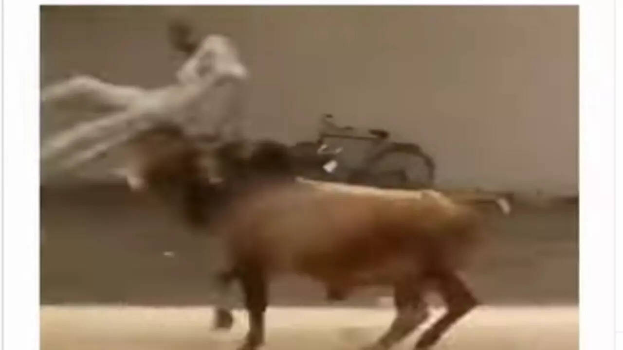 Viral Video Drunken Man Was Picked Up By The Bull And Slammed Funny Video नशे में धुत बुजुर्ग