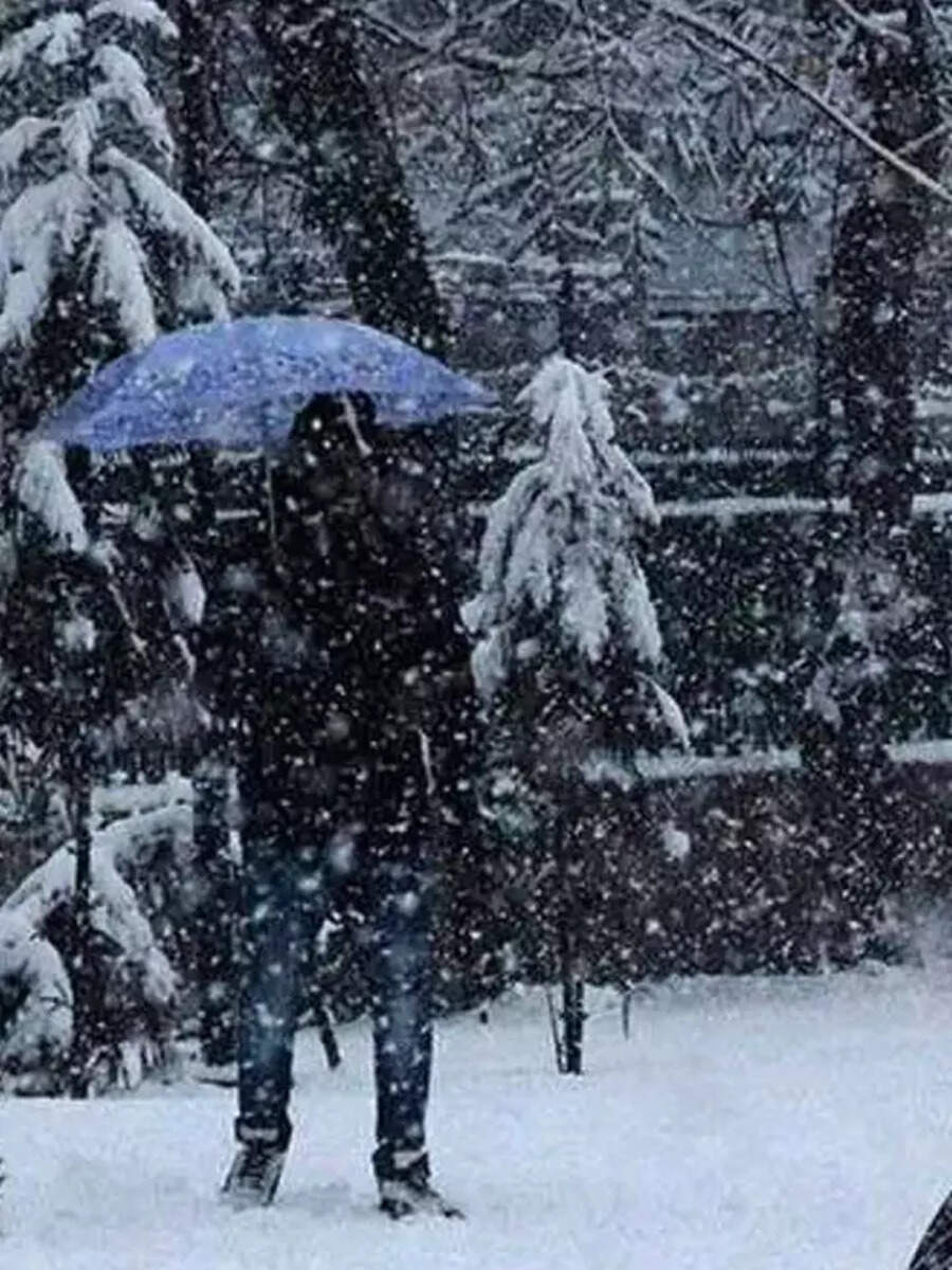 नए साल में लेना है Snowfall का मजा, तो बेस्ट हैं ये खास जगहें | Times ...