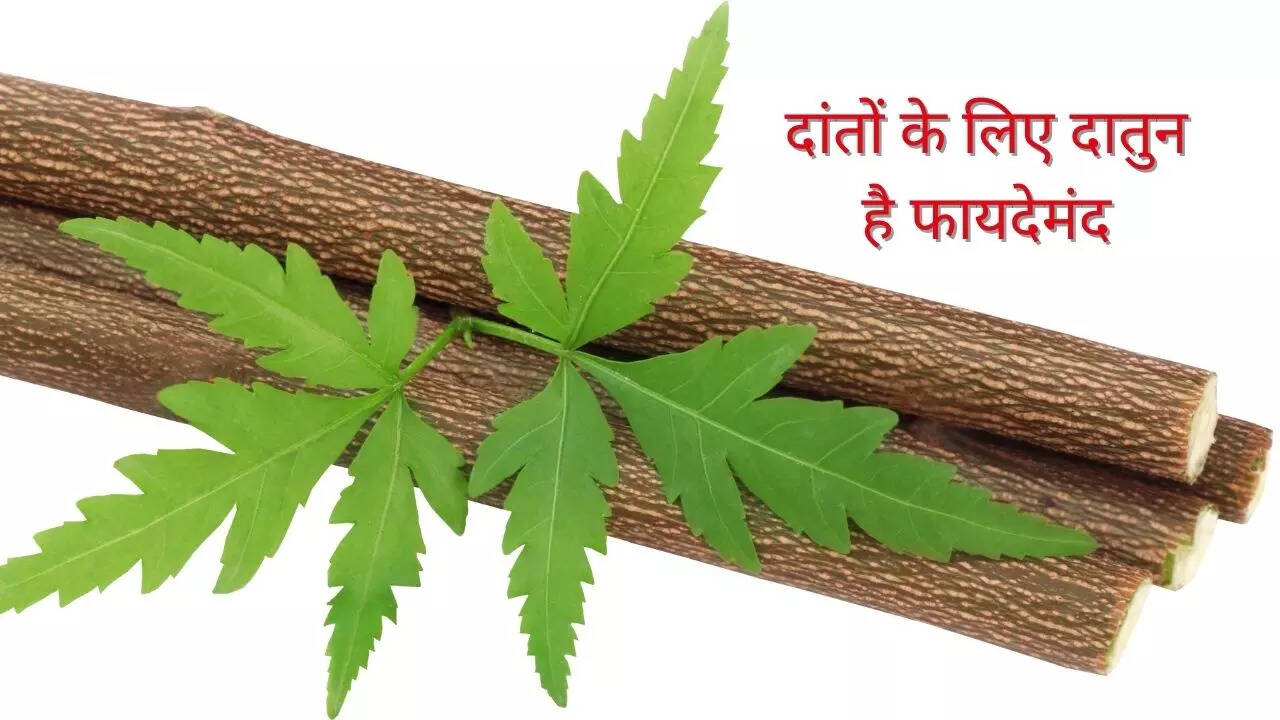 Benefits of using Datun stick for teeth - ओरल हेल्थ के लिए बेस्ट है ...
