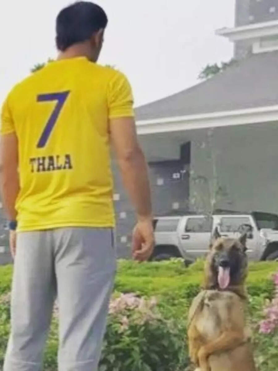 Pets of Dhoni: Dogs to horses MS Dhoni has variety of pets on his farm ...