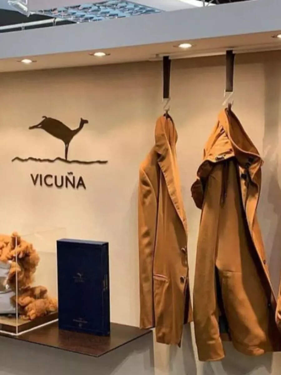 Vicuna fabric, cloth, wool: most expensive cloth in the world, cloth ...