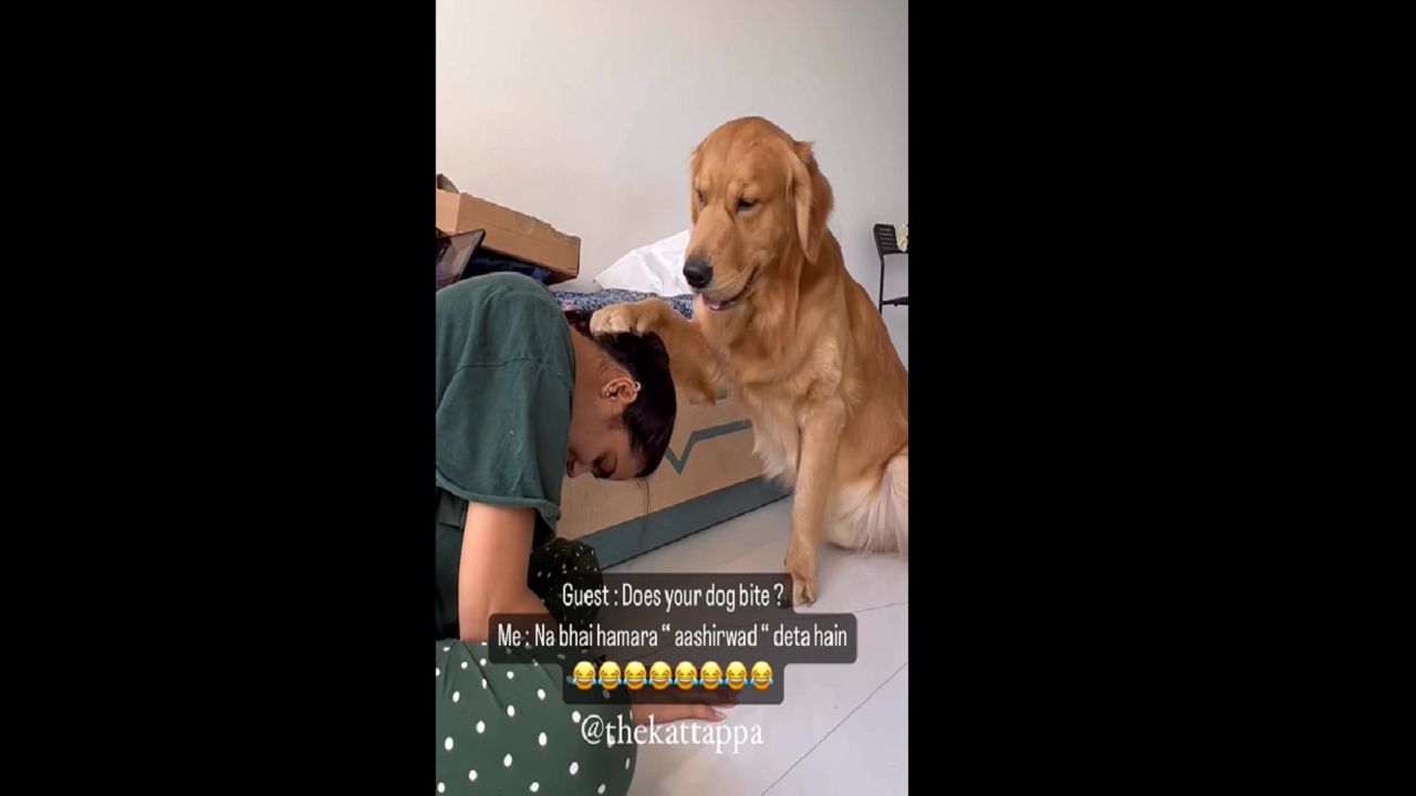 A dog gives blessing to humans, video goes viral on social media ...