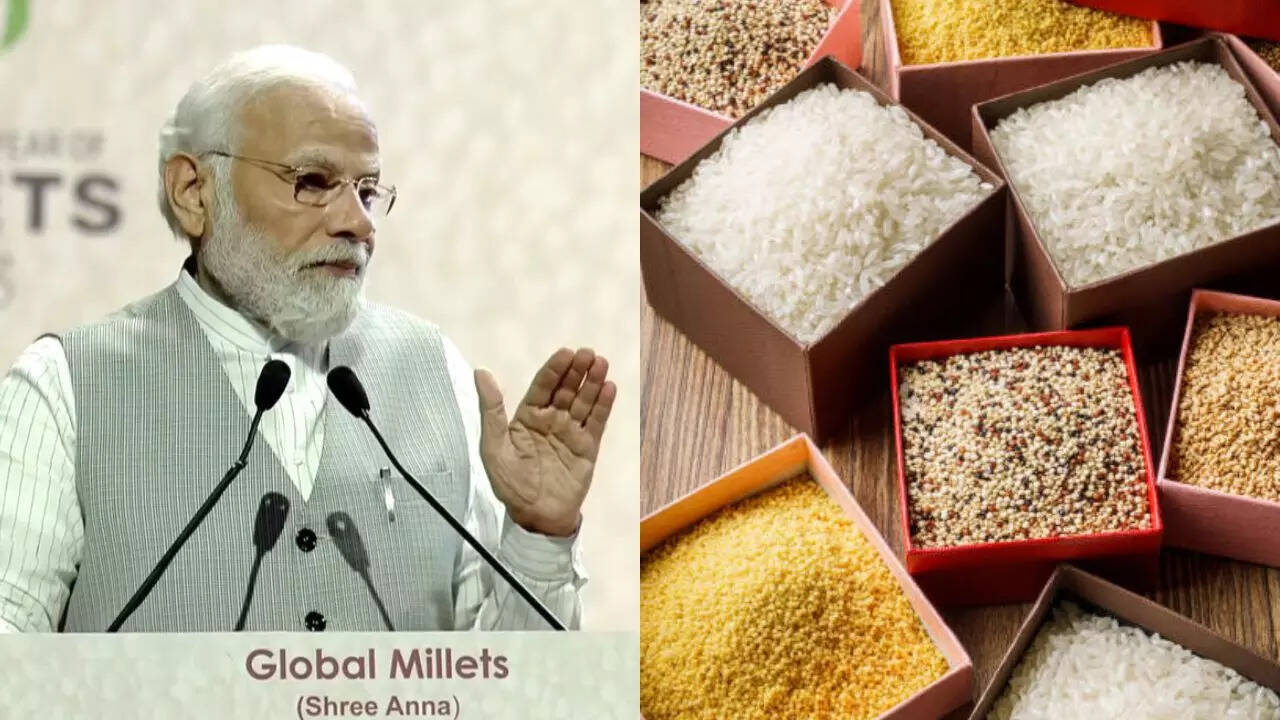 Shree Anna: What PM Narendra Modi said on Global Millets as ...