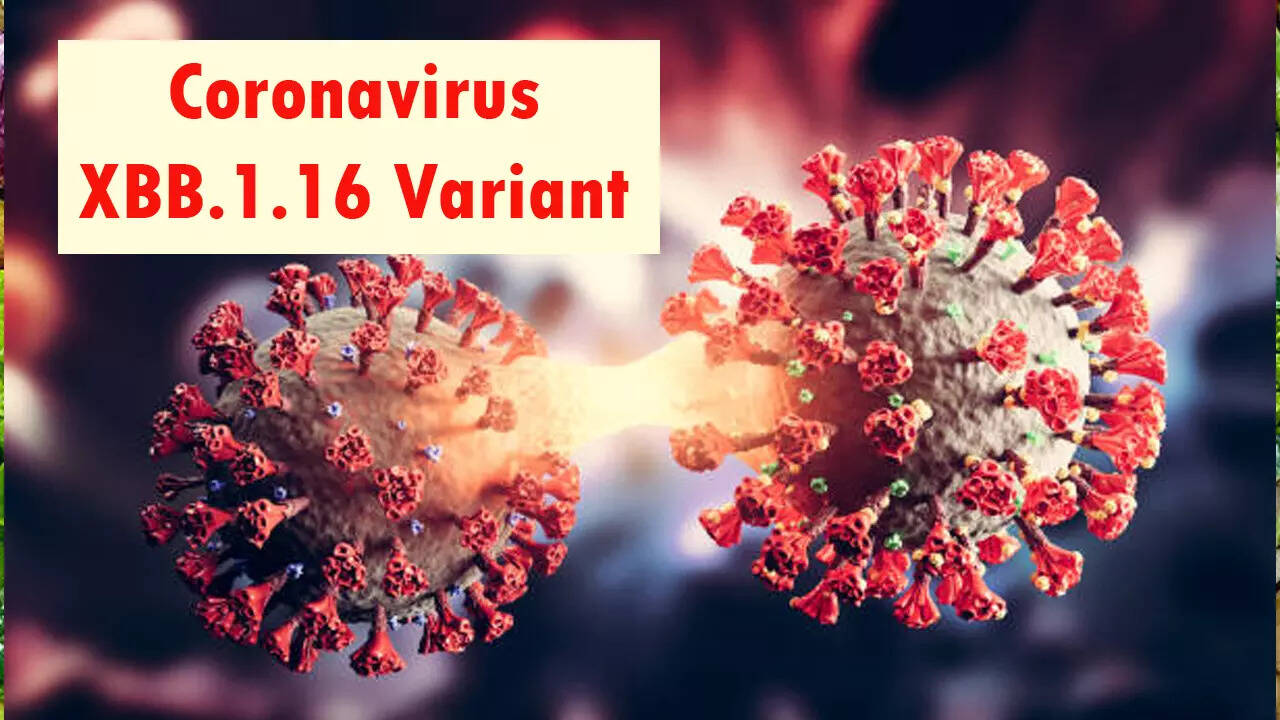 Covid xbb.1.16 new omicron variant behind india's covid-19 spike, know about symptoms to risk ...