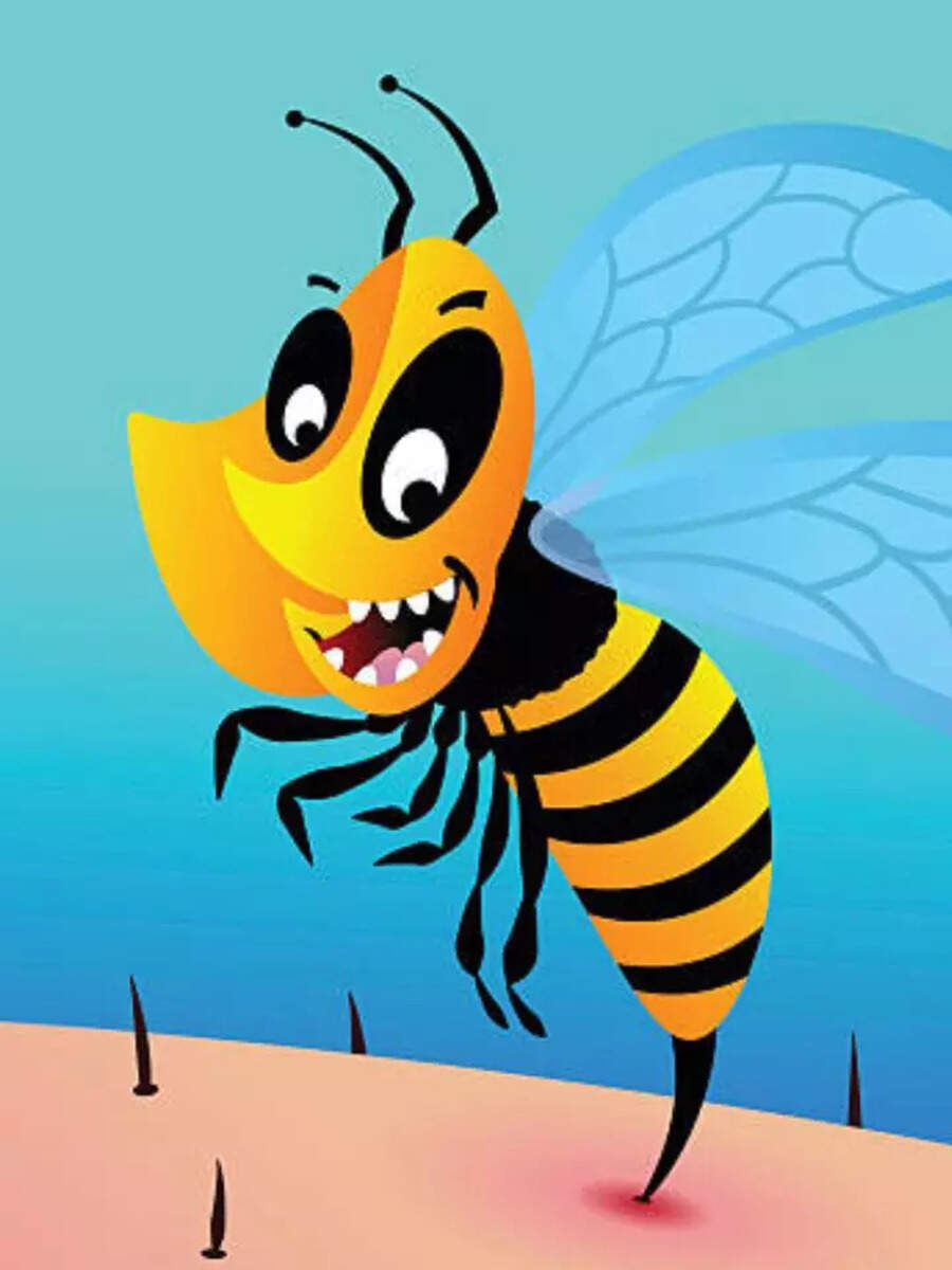 Madhumakhi Katne ka Gharelu Upay: Madhumakhi Katne Par Kya Kare, Honey ...