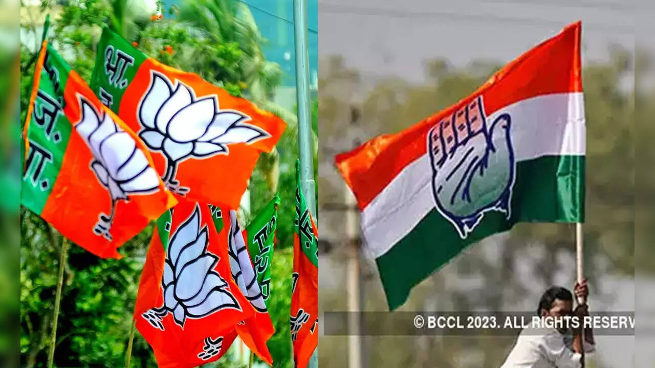 Shimla Municipal Corporation Election Result: Congress bags victory in ...